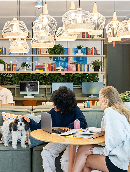 Apartments Near UGA | Hub Athens